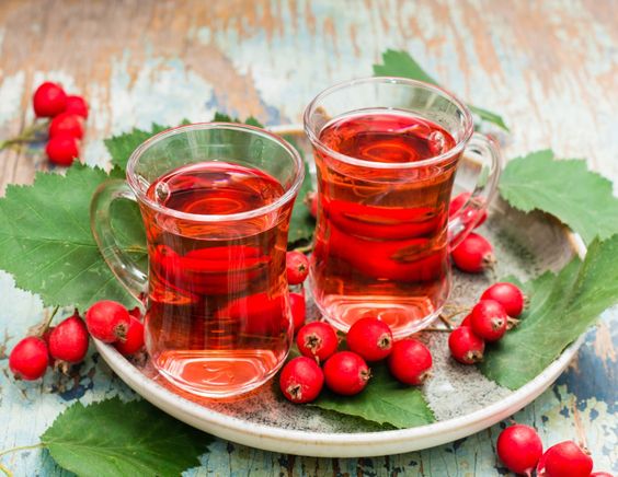 The Profound Benefits of Hawthorn Berries Tea - TAM & TEA - The Best ...